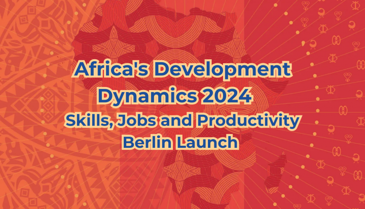 Africa’s Development Dynamics 2024: Skills, Jobs and Productivity ...